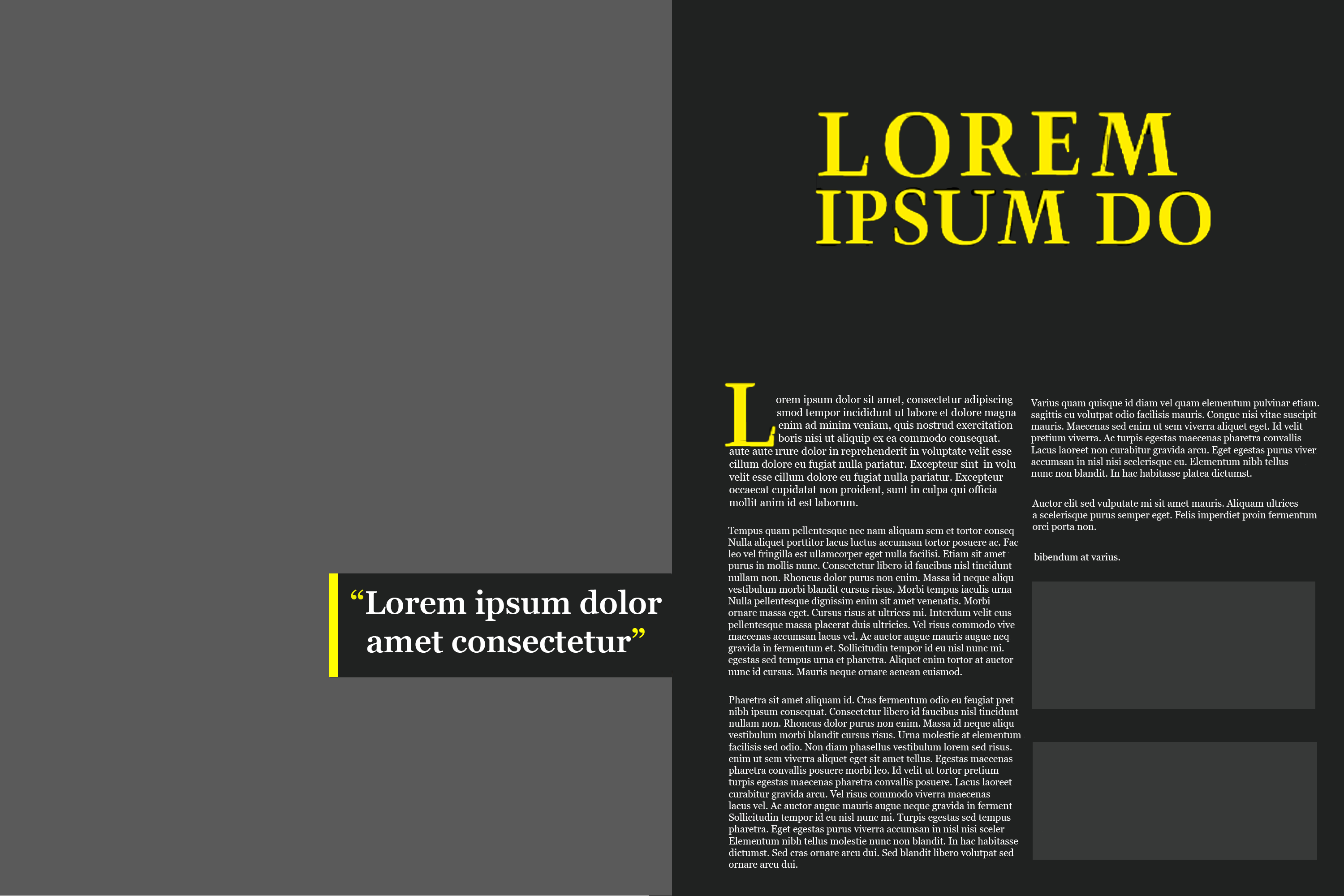 Exercise – Lorem Ipsum – OCA Graphic Design
